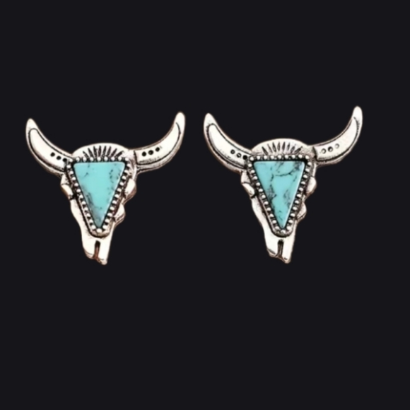 Jewelry | Host Pick Nwt Boho Set Silver Plated Inlaid Turquoise Cow ...